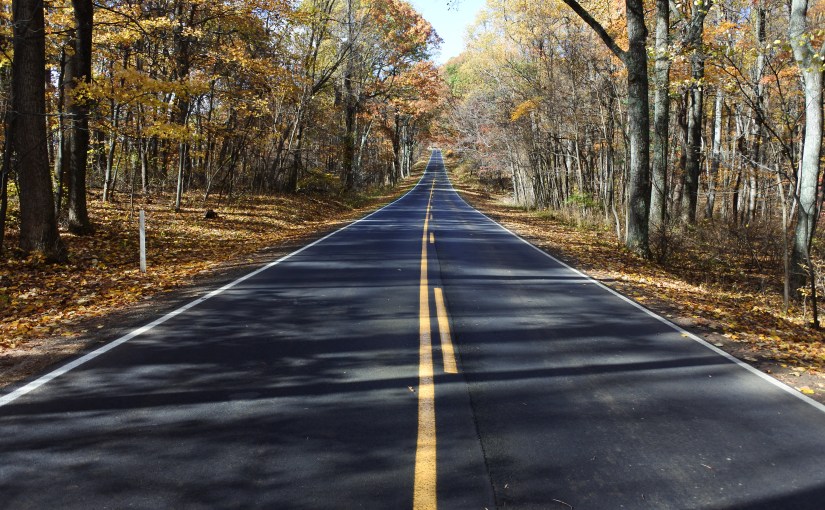 Publications – James W. Vizzard